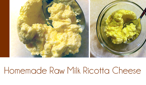 How To Make Milk Kefir - A Probiotic Yogurt-Type Drink - My Humble Kitchen